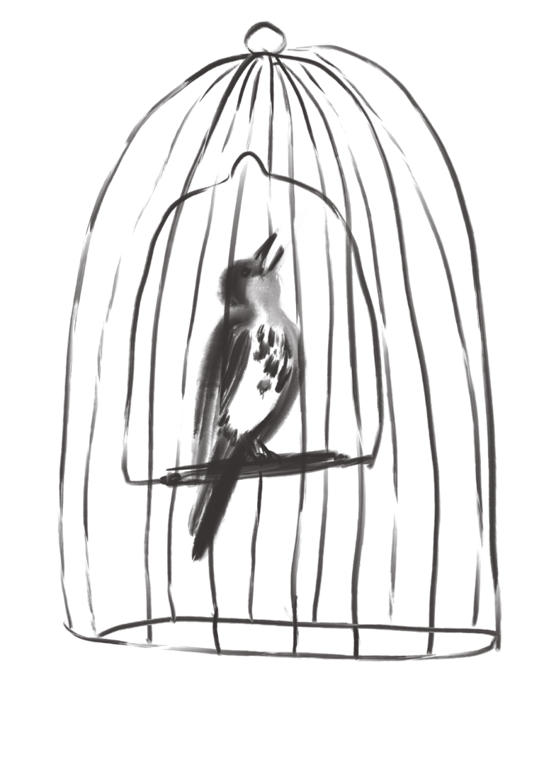 Caged Bird – Poetry Prof