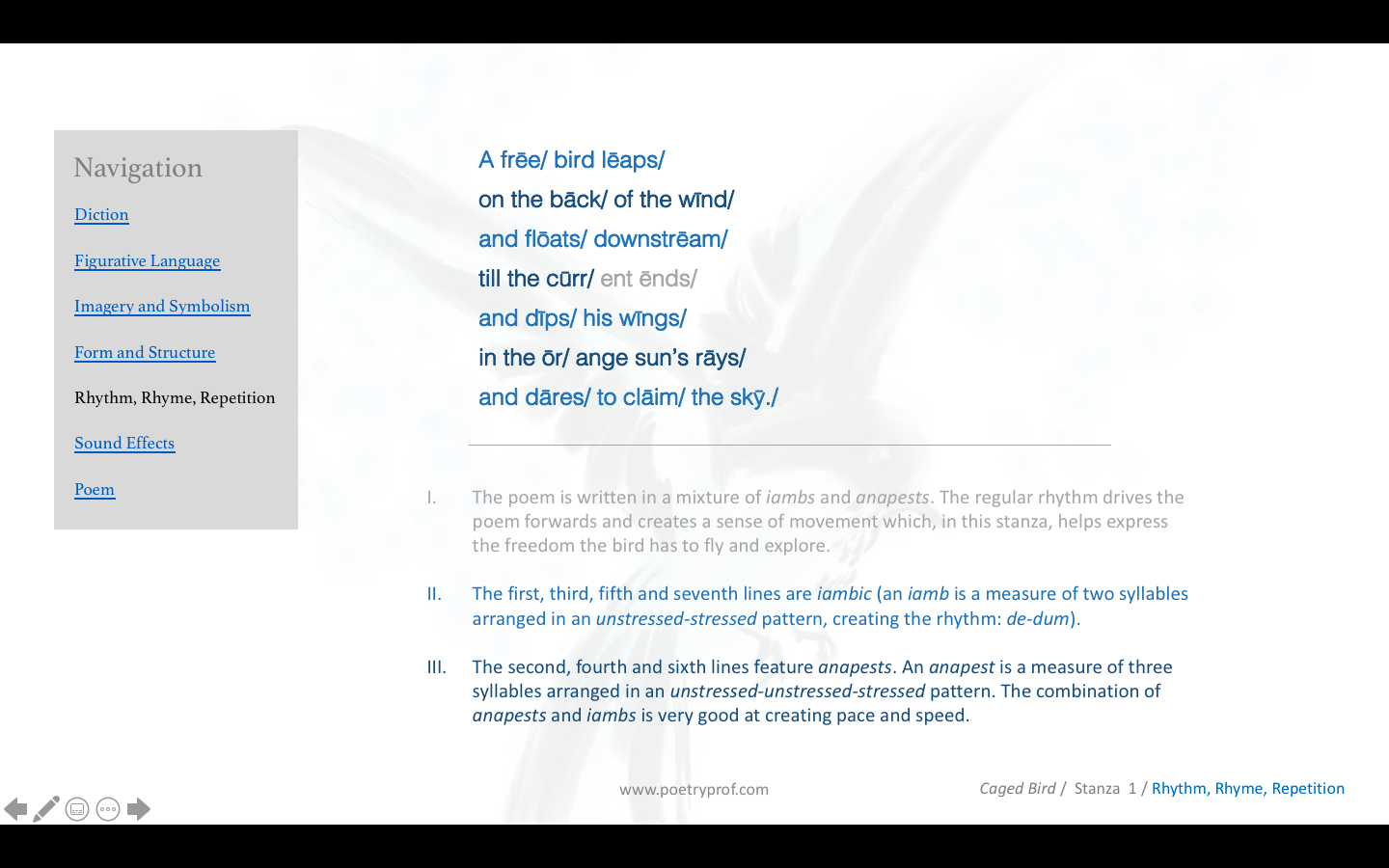 Caged Bird – Poetry Prof