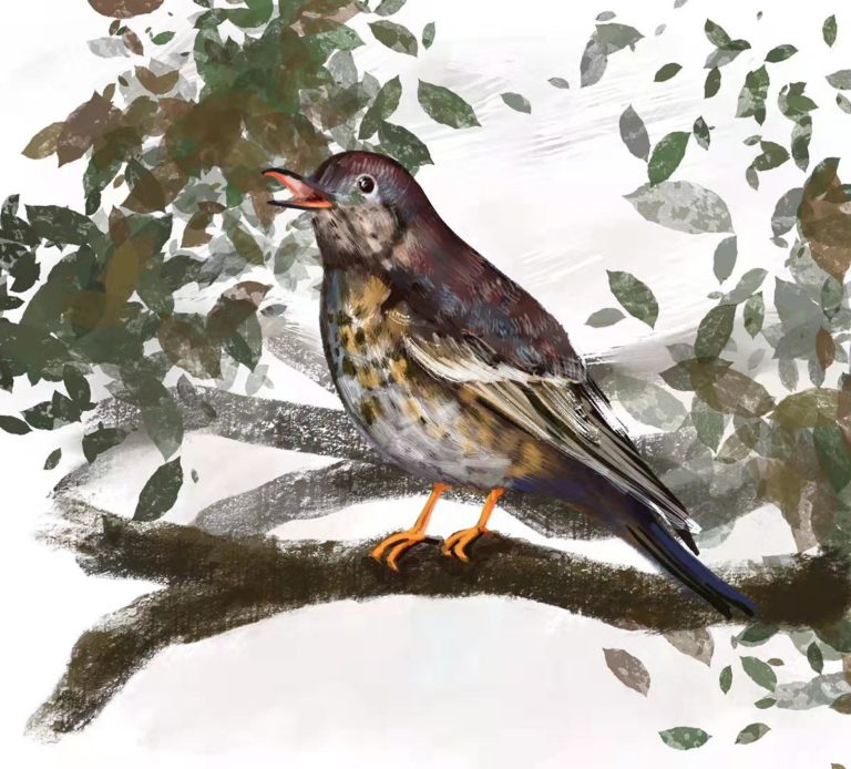 Stormcock in Elder – Poetry Prof