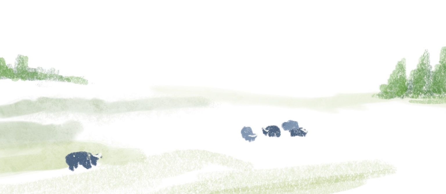 The Flower-Fed Buffaloes – Poetry Prof