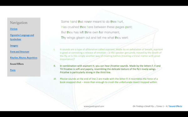 On Finding a Small Fly Crushed in a Book – Poetry Prof