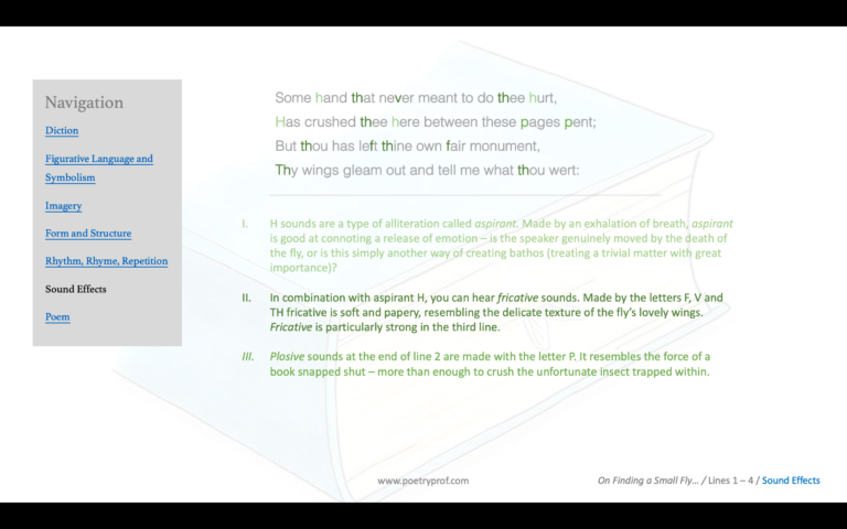 On Finding a Small Fly Crushed in a Book – Poetry Prof