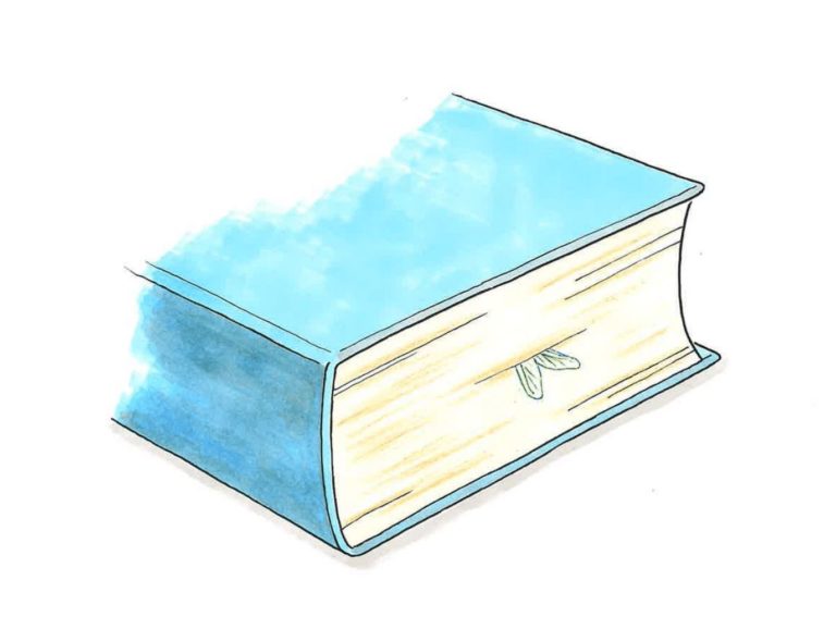 On Finding a Small Fly Crushed in a Book – Poetry Prof