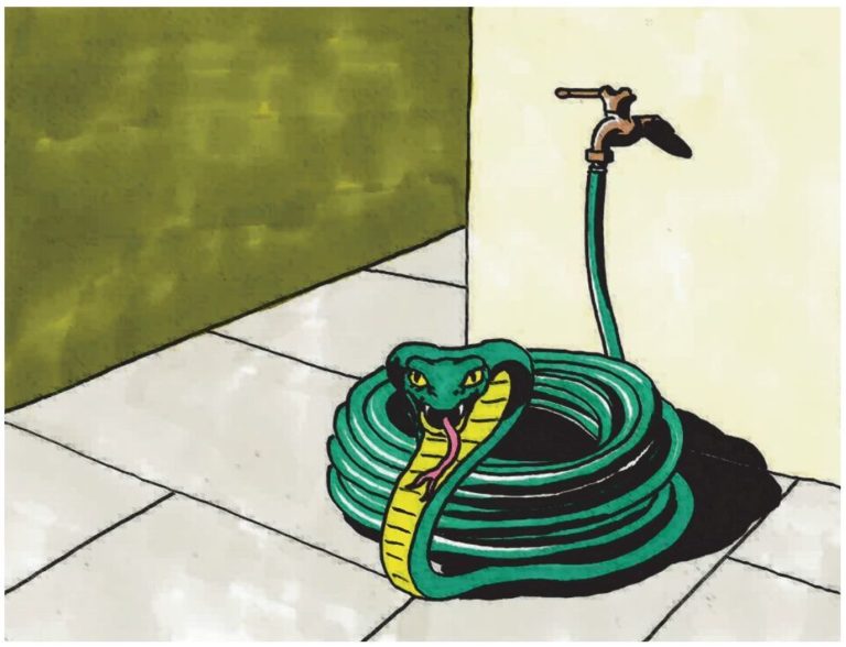 The City Planners – Poetry Prof