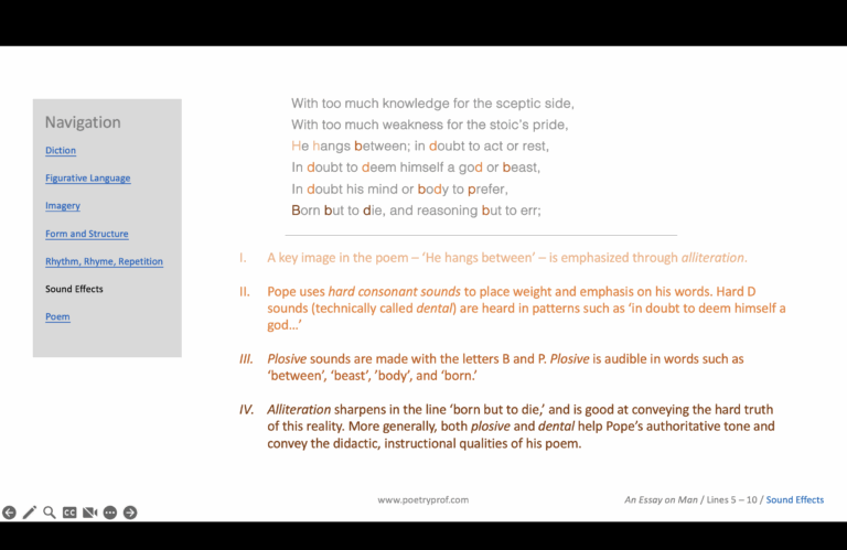 An Essay on Man – Poetry Prof